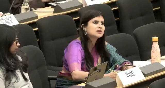 India criticizes Pakistan at UN, calls it a 'Frankenstein state'