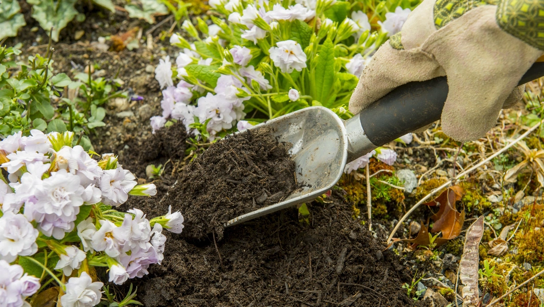 11 natural fertilizers to enrich raised beds