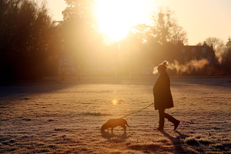 Dog owners could be handed £500 fine as major law change comes into ...