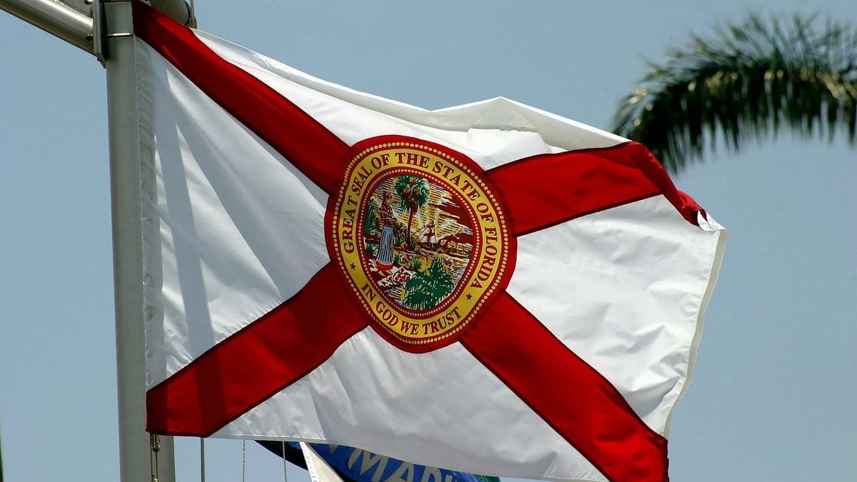 Florida law barring concealed carry under 21 ruled unconstitutional