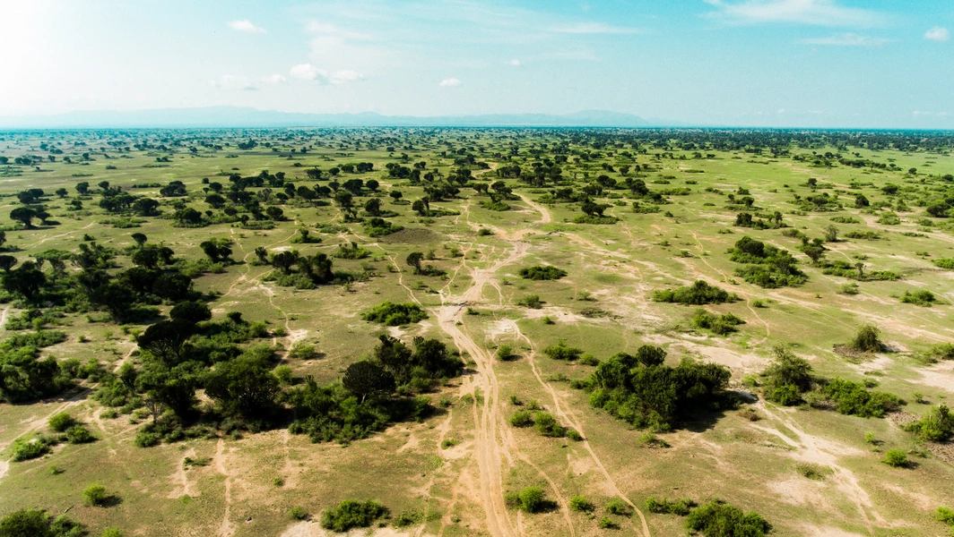 Uganda birding spots every nature lover needs