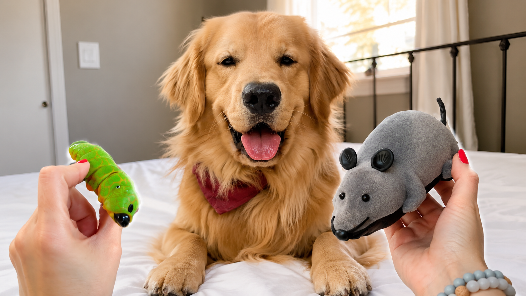 This giant mouse made my dog smile