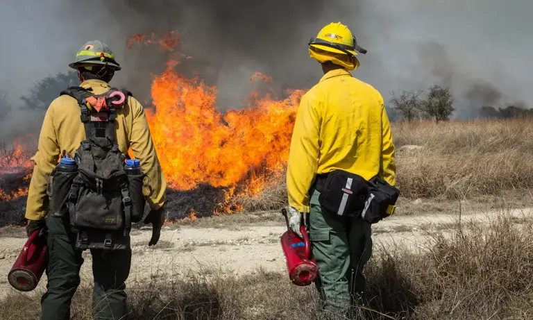 How western wildfire smoke is affecting air quality thousands of miles away