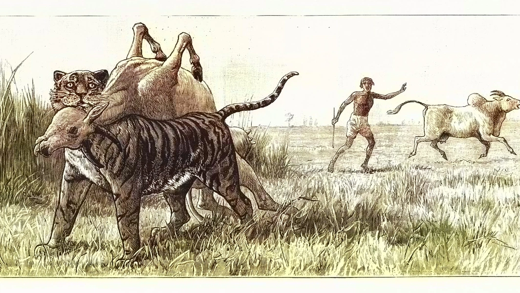 11 animals capable of killing a lion