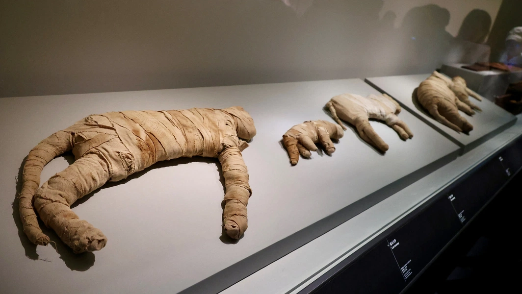 6 unusual practices of ancient Egypt
