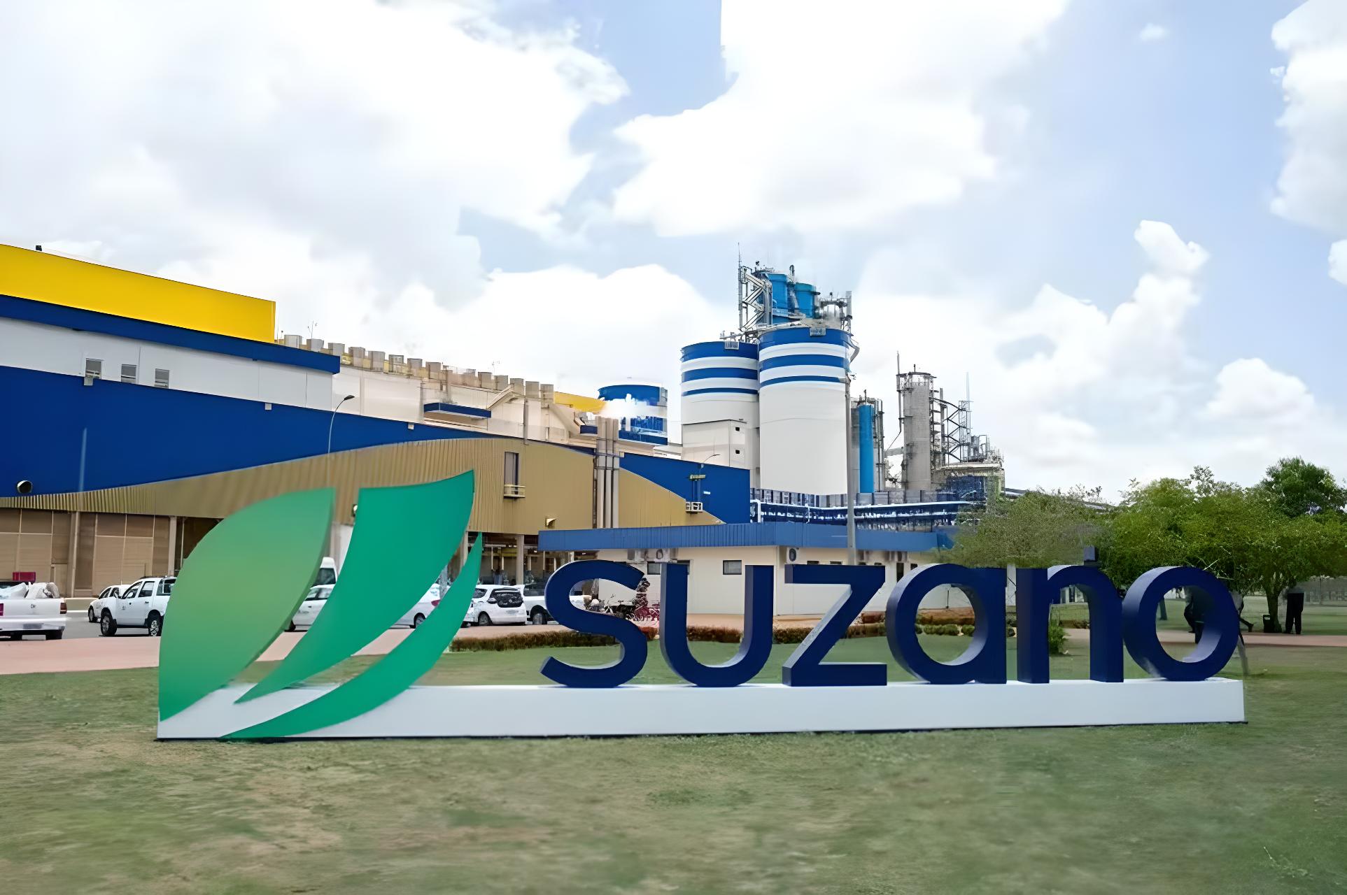 Suzano Holding aprova redução de capital de R$ 356,1 milhões; entenda a ...