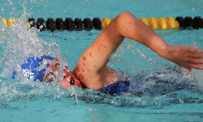 Summers Port Sharks swim past Sunset Hills