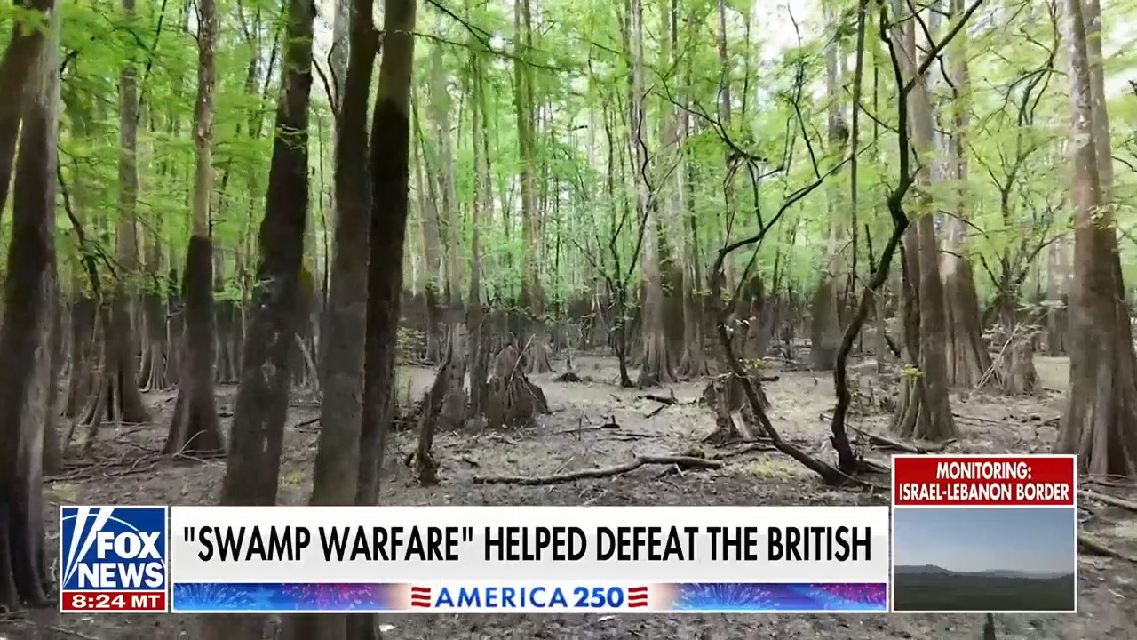 How swamp tactics shaped US guerrilla warfare and helped defeat the British