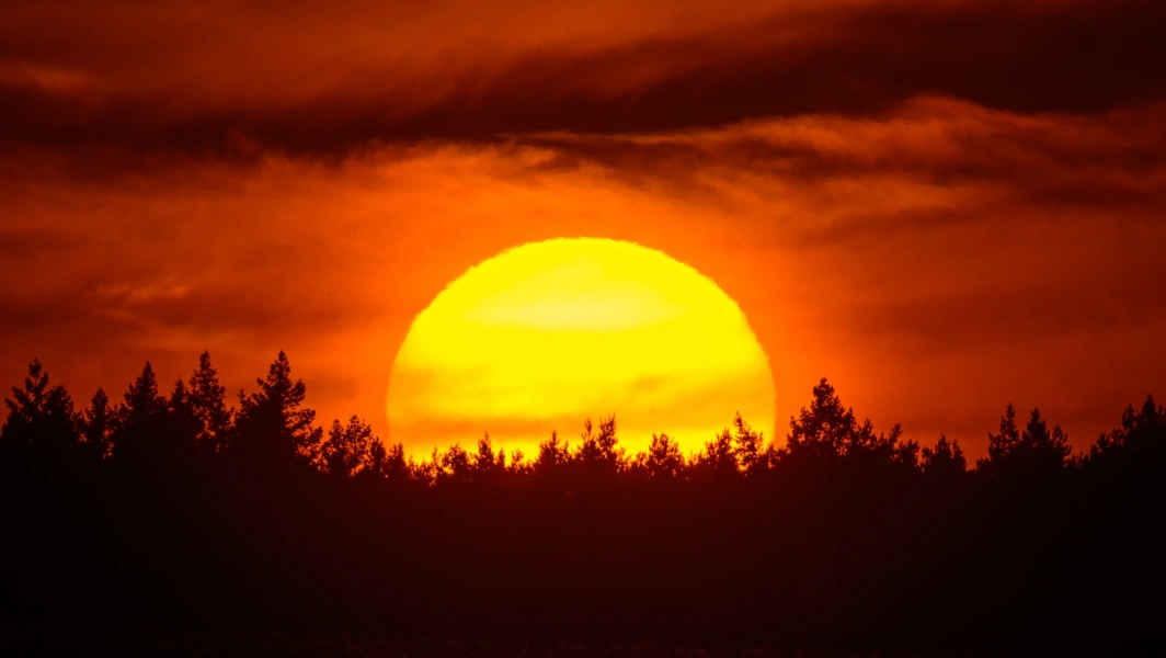 Golden hour tips every photographer needs to know