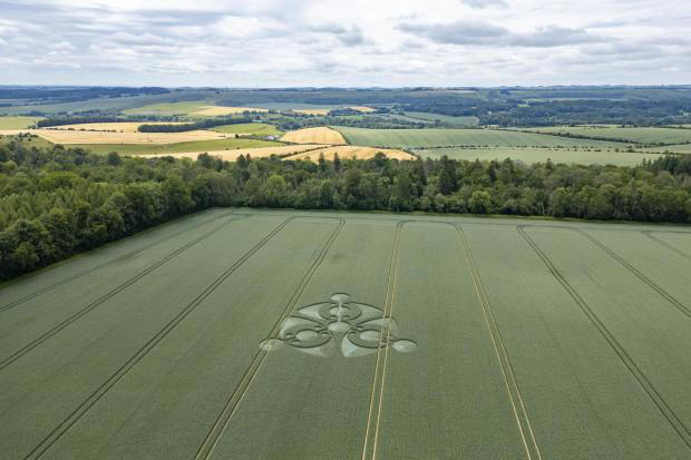 'This is criminal damage' - Landowner mows down crop circle to deter ...