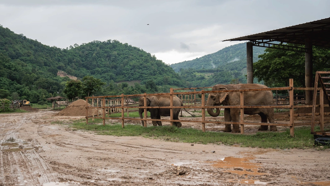 7 ethical wildlife tourism experiences