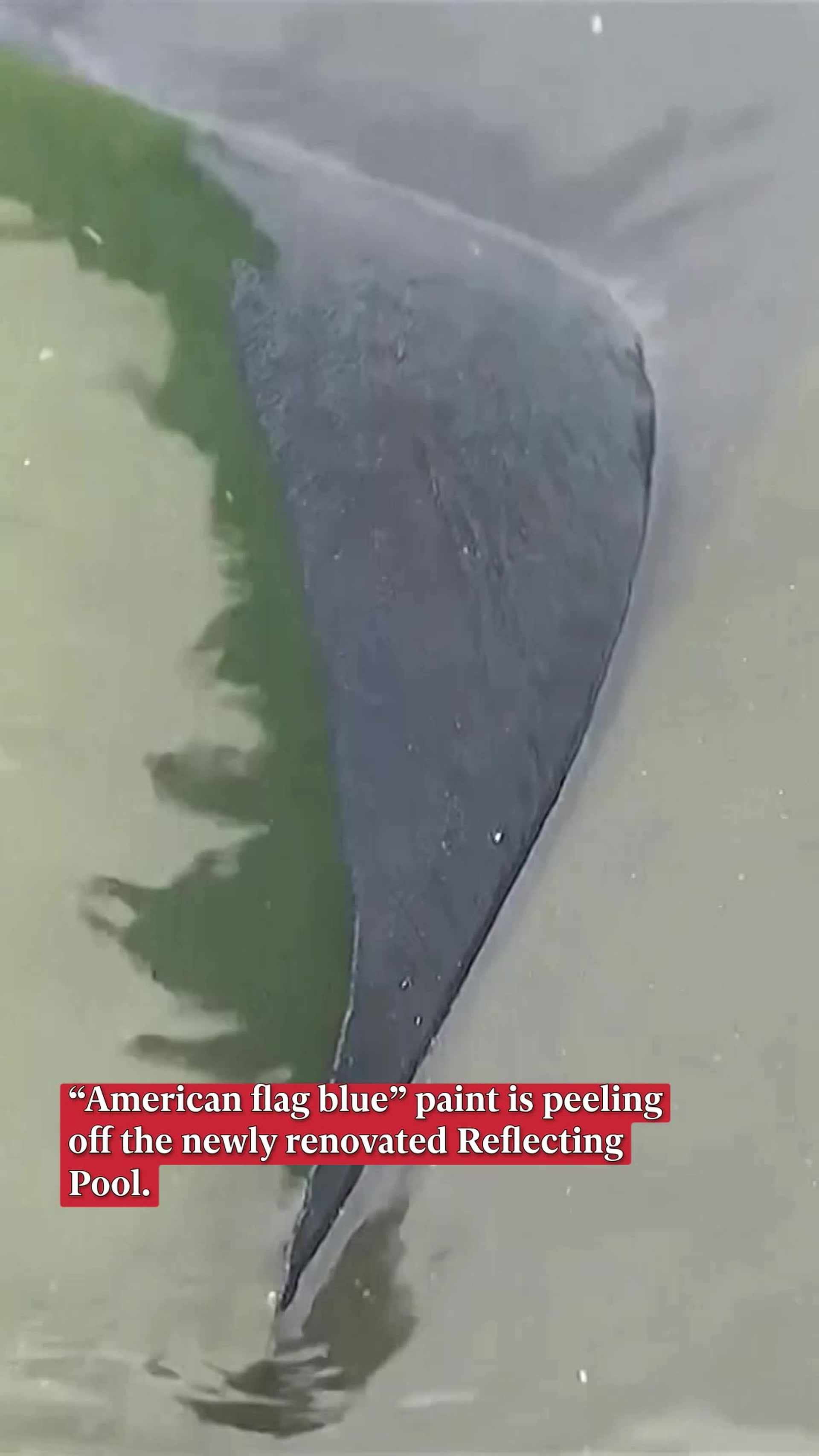 Paint is peeling from Reflecting Pool days after Trump's $14m renovation