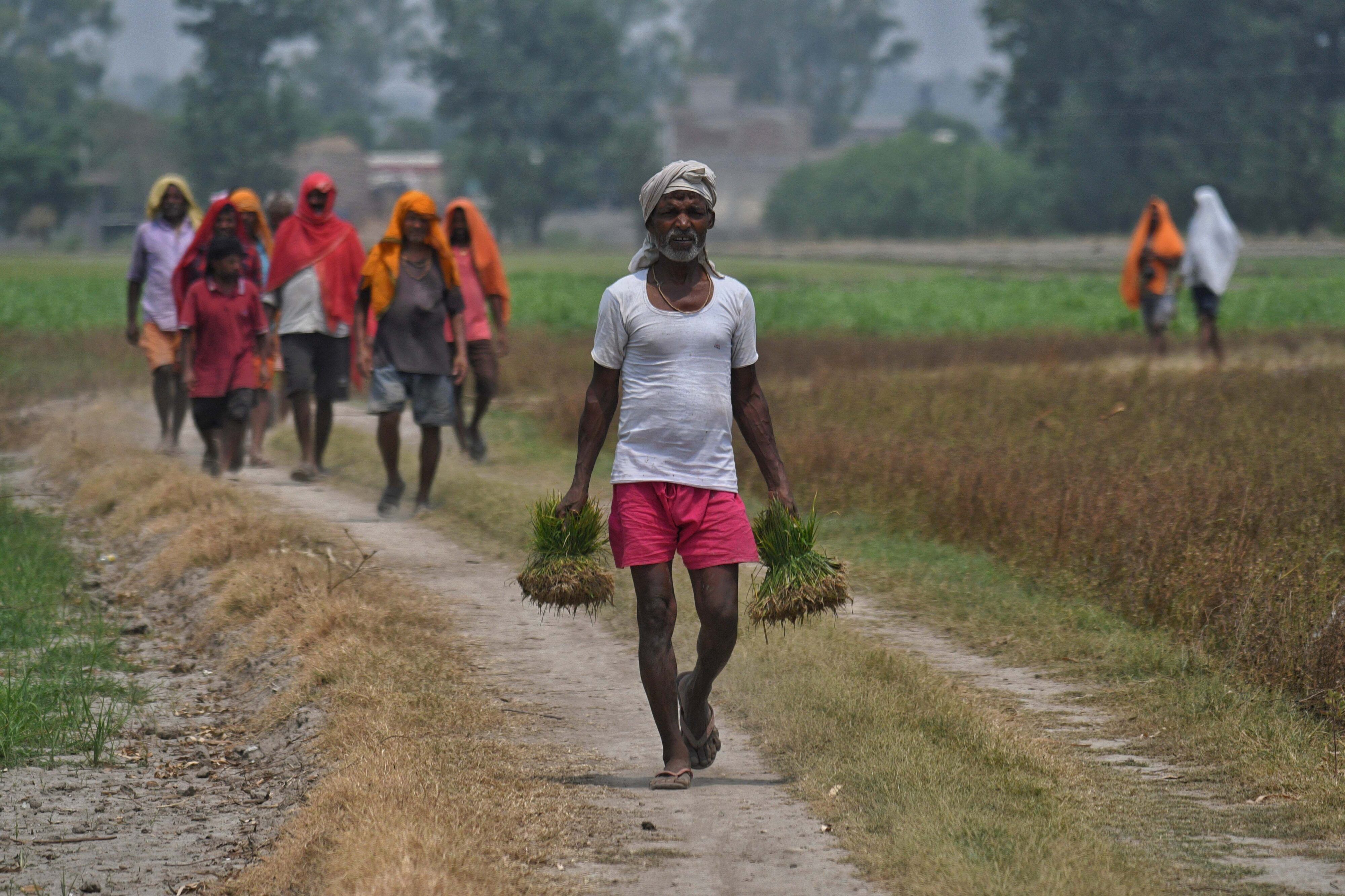 In pictures: Bihar migrants brave heat and humidity to keep Punjab's ...