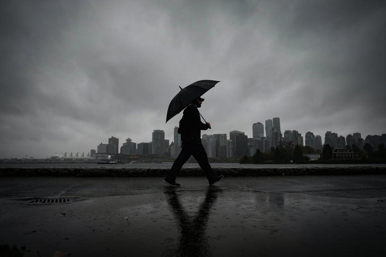 Environment Canada issues thunderstorm watches over parts of BC