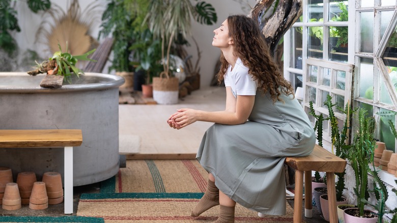 How to create your own indoor greenhouse for tropical plants