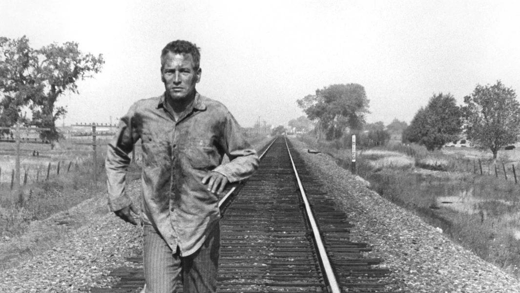 The making and legacy of Cool Hand Luke