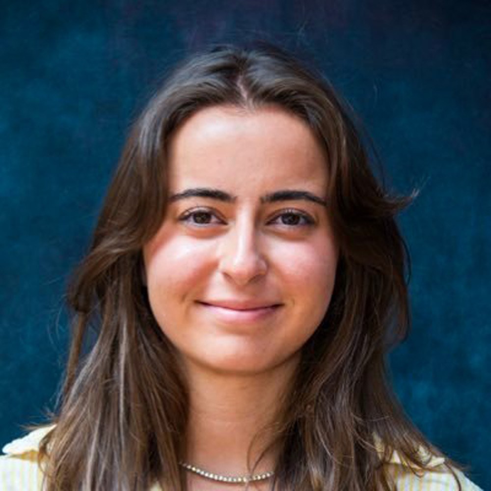 NYC Council unpaid intern claims she was axed after demanding $32 an hour