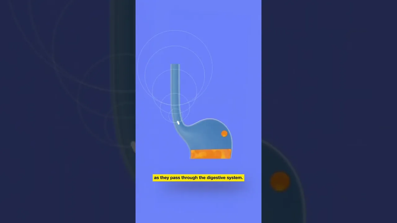 Smart pills of the future