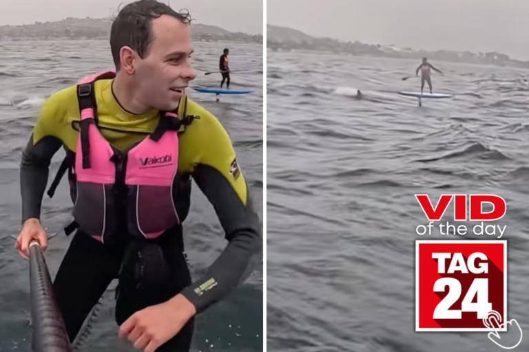 Viral video of the day for June 19, 2026: Huge fin sparks panic as ...