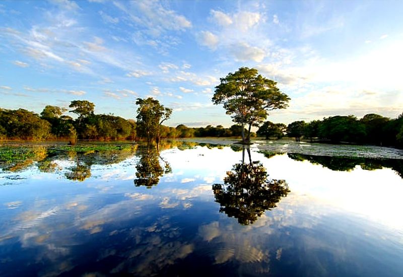 14 places in South America famous for exotic wildlife