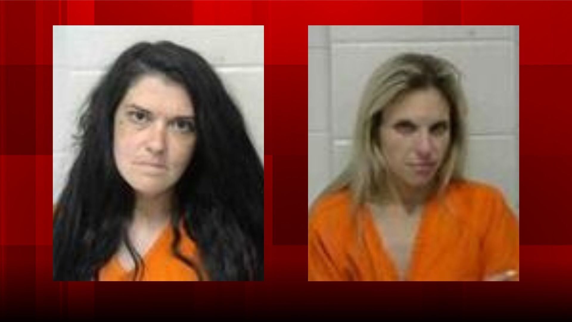 Drugs, guns, stolen property seized in traffic stop with children in ...