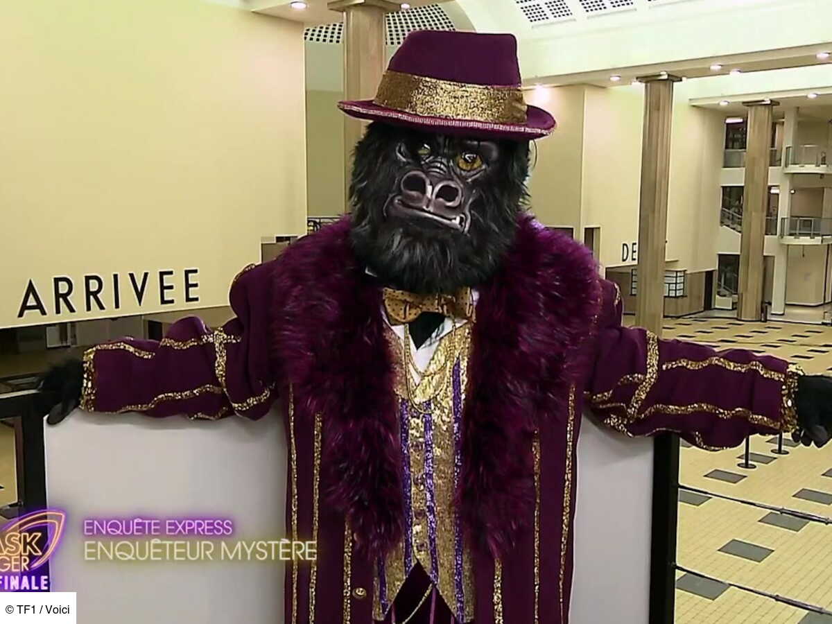 Mask Singer : découvrez quelle personnalité se cachait sous le costume ...