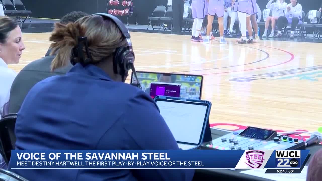 Voice of the Savannah Steel