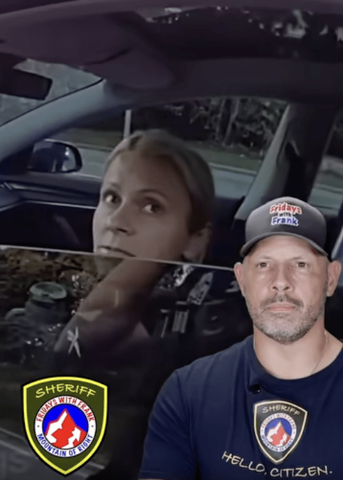 Tesla driver tells a cop 'I don't have to give you anything,' then ...