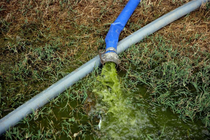 Dirty green water pumped from Reflecting Pool after Trump's $14M ...