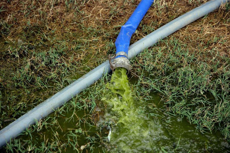 Dirty green water pumped from Reflecting Pool after Trump's $14M ...