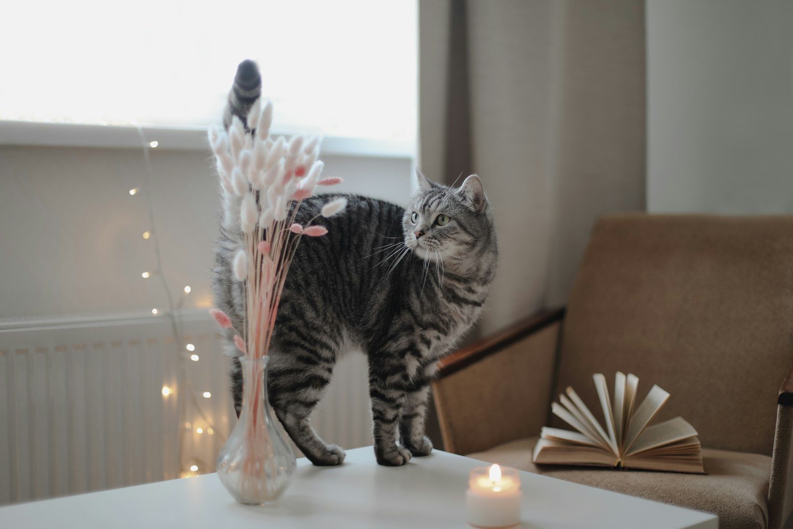 How a two-legged cat runs like a champion