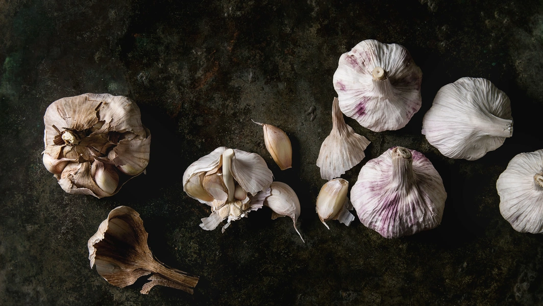 Effective garlic storage to prevent sprouting