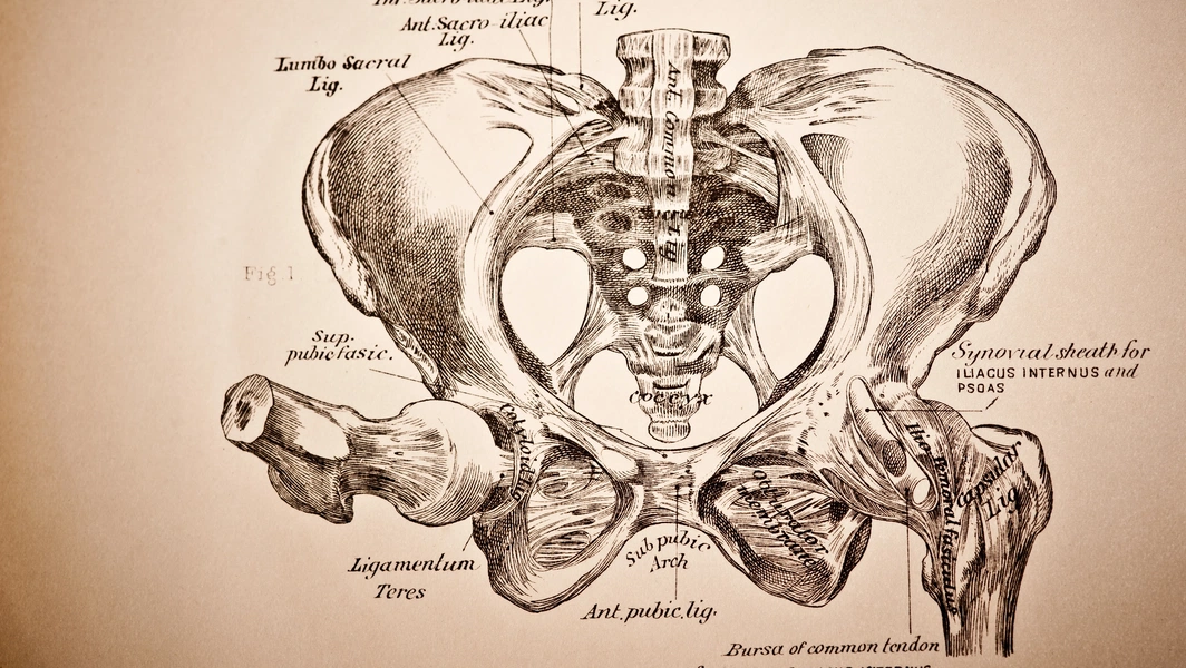 Hip flexor stretches for posture and mobility