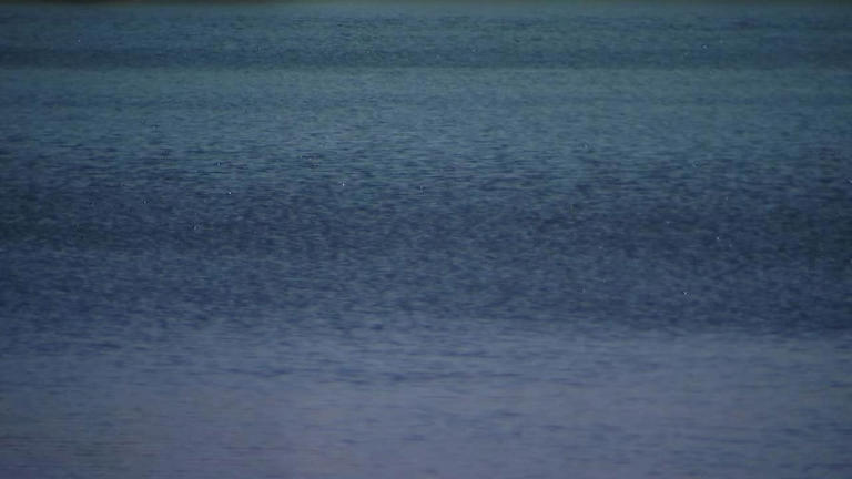 Body found in Lake Pflugerville; police investigating