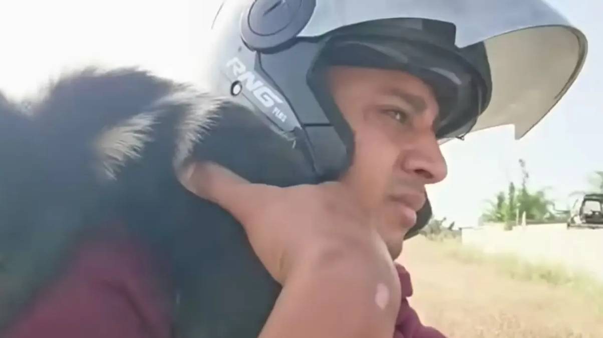 Influencer arrested after skinning and eating stray dog to protest ...