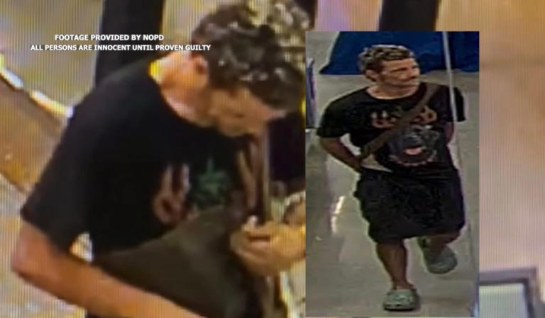 New Orleans police name suspect in car burglary turned fraud case