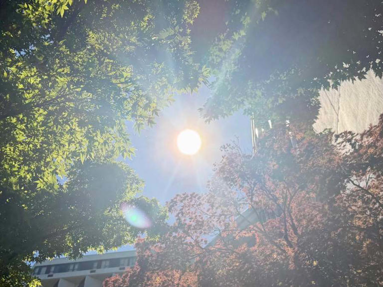 Extreme heat watch returns to Portland early next week