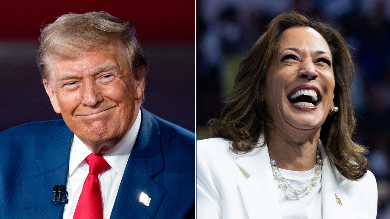 Rosie O'Donnell pushes conspiracy theory that Trump didn't really win ...
