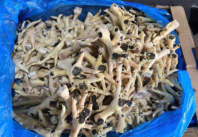 Smuggled chicken feet from disease-hit countries reach Vietnam's ...
