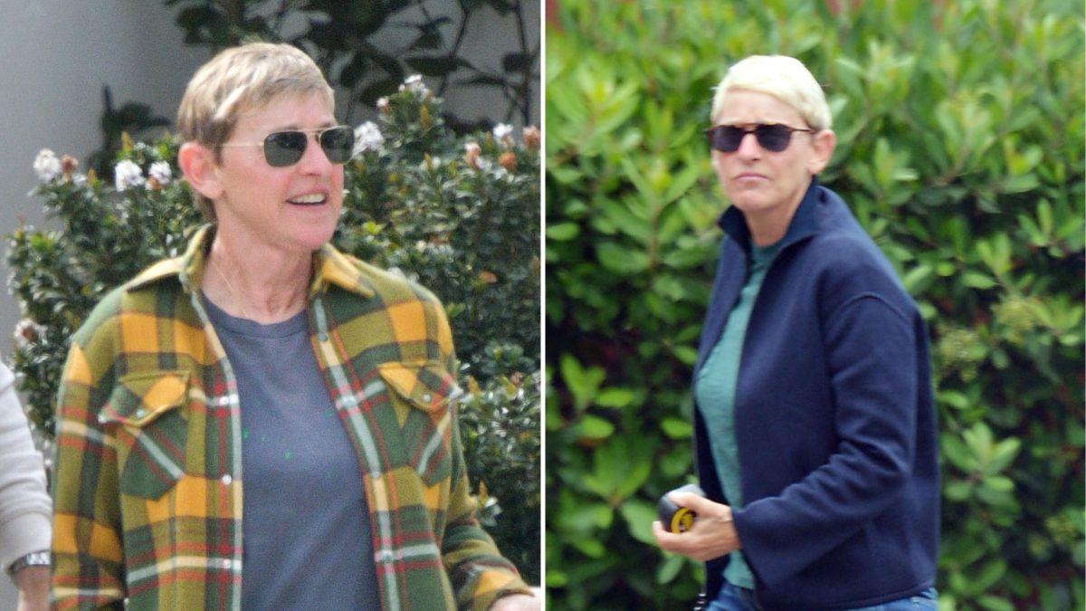Ellen DeGeneres and Portia de Rossi all smiles at Harry Styles concert ...