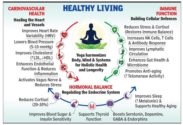 Yoga & physiology: A deep dive into three critical systems