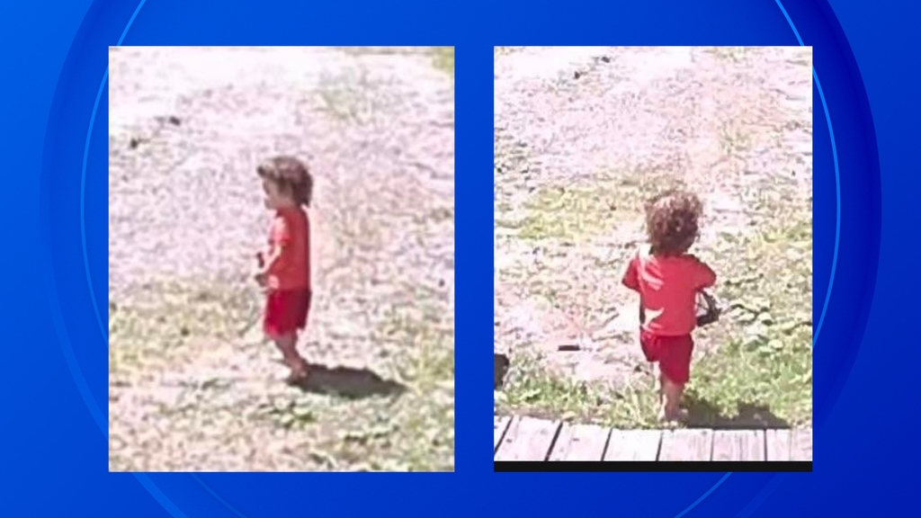 Police suspend search for unidentified child seen wandering in Holly ...