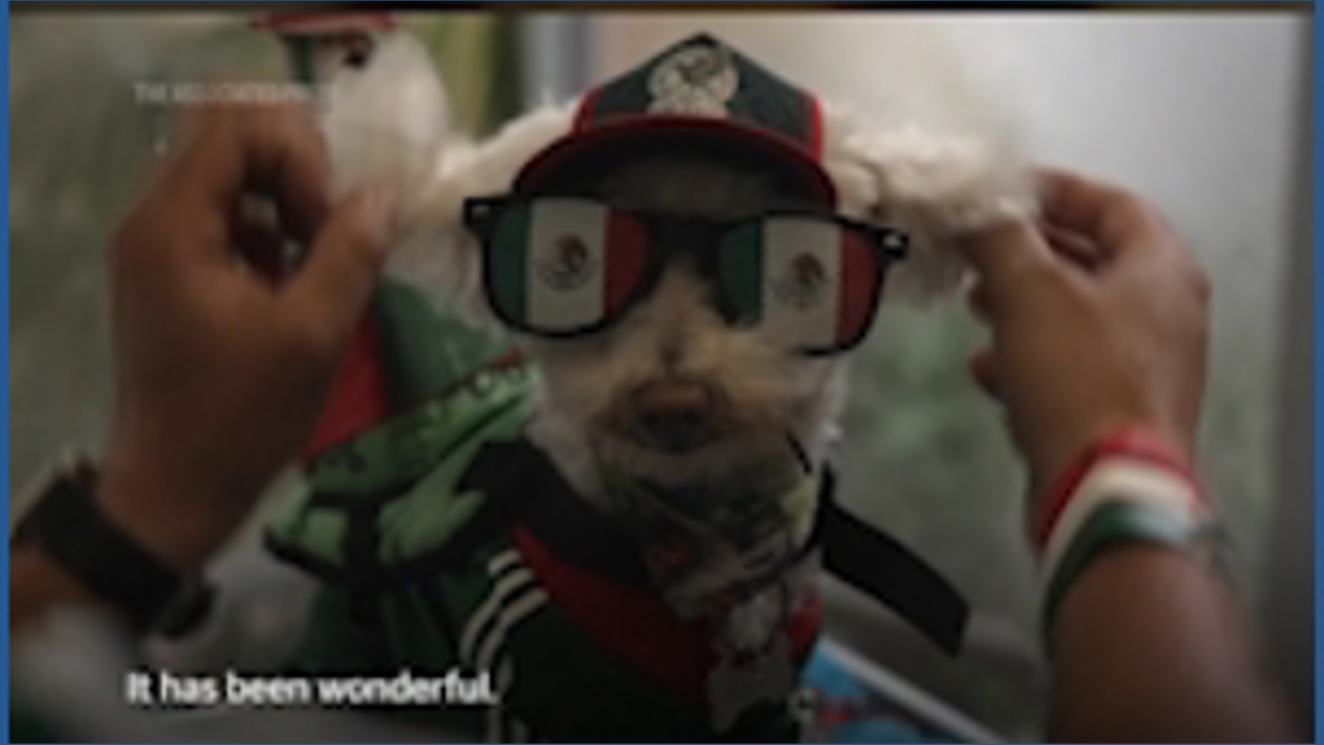 Mexico falls for World Cup dog Osito