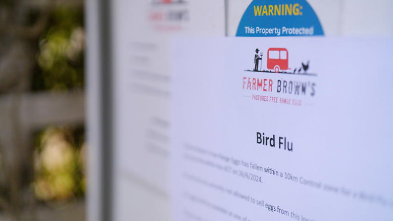 Third Australian H5N1 bird flu case confirmed as virus found in SA
