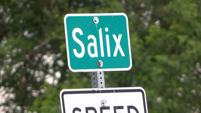 Salix mayor: Supervisors were informed of annexation months in advance ...