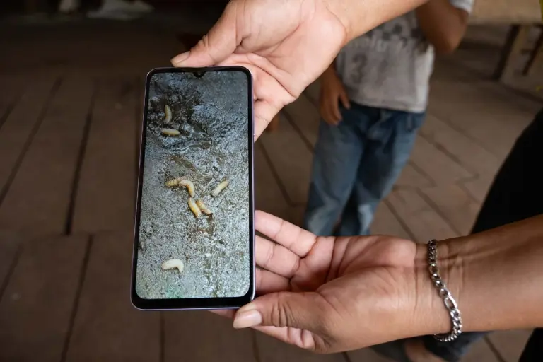 Detectan gusano barrenador en dos especies de zoológico de León, Guanajuato