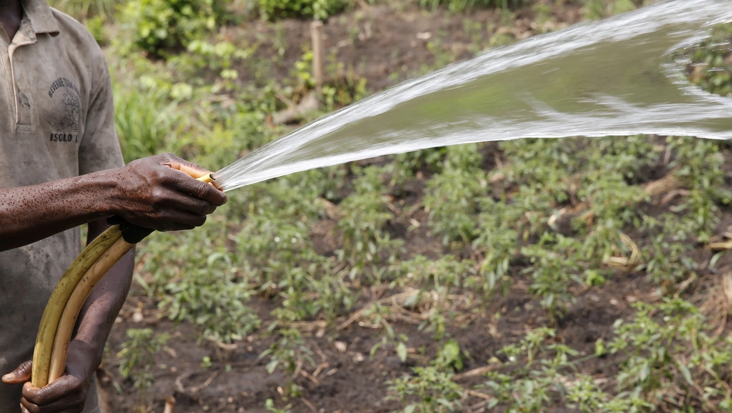 Keeping your vegetable garden healthy while away