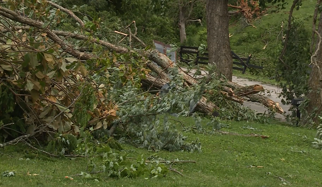 NWS confirms EF2 tornado touched down in Mason County early Thursday ...