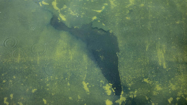 Is reflecting pool's blue paint peeling off?