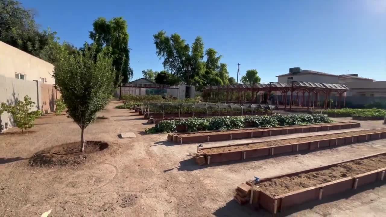 Phoenix farm donates every harvest to fight food insecurity